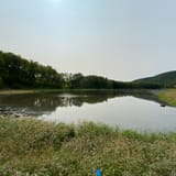 Lindsay-Parsons Biodiversity Preserve Trails, New York - 119 Reviews ...