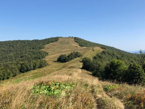 2023 Best Wild Flowers Trails in Národný park Poloniny | AllTrails