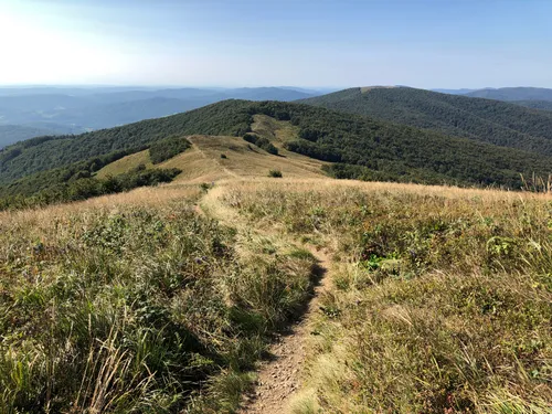 2023 Best Wild Flowers Trails in Národný park Poloniny | AllTrails