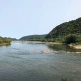 Virginius Island Trail, West Virginia - 202 Reviews, Map | AllTrails