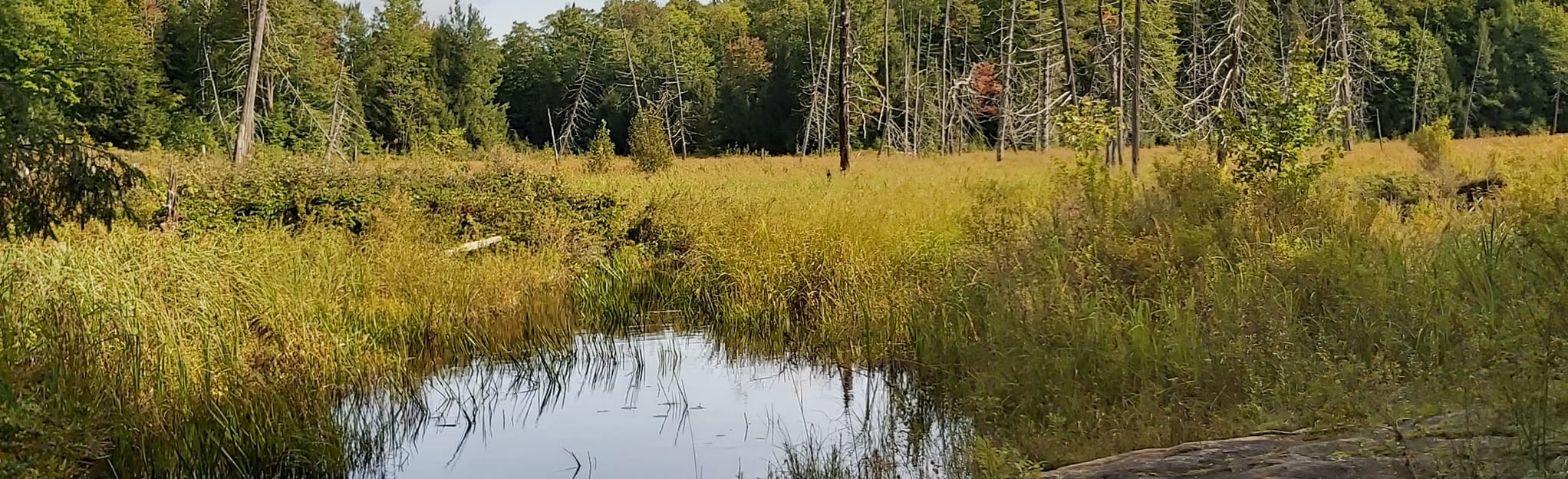 Sucker Lake Lookout, Ontario, Canada - 6 Reviews, Map | AllTrails