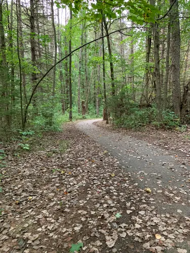 Best Hikes and Trails in Harris Nature Center | AllTrails