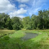 Thunder Swamp Trail, Pennsylvania - 48 Reviews, Map | AllTrails