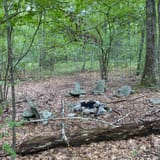 Thunder Swamp Trail, Pennsylvania - 48 Reviews, Map | AllTrails