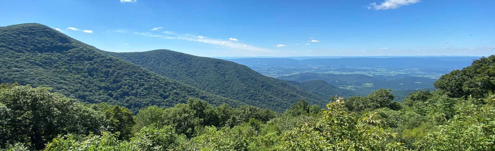 Crescent Rock Overlook via Crescent Rock Trail and Limberlost Trail ...