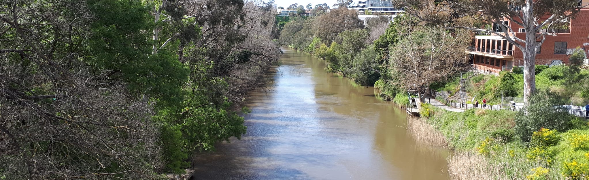 Kew Walking Tour: 4 Reviews, Map - Victoria, Australia | AllTrails