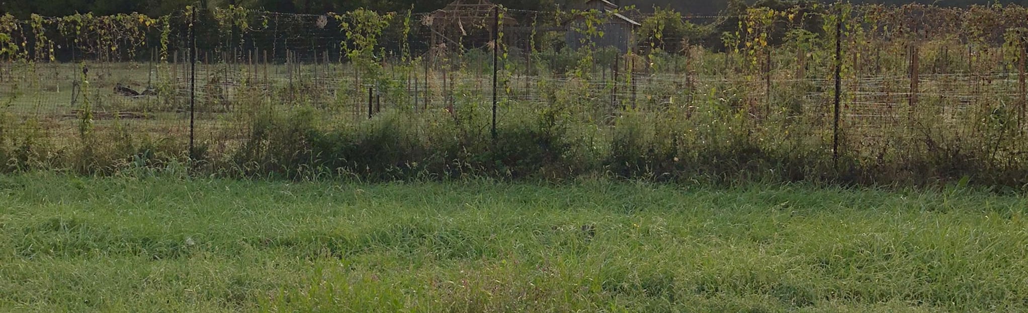 Valley View Nature Preserve Loop, Ohio - 124 Reviews, Map | AllTrails