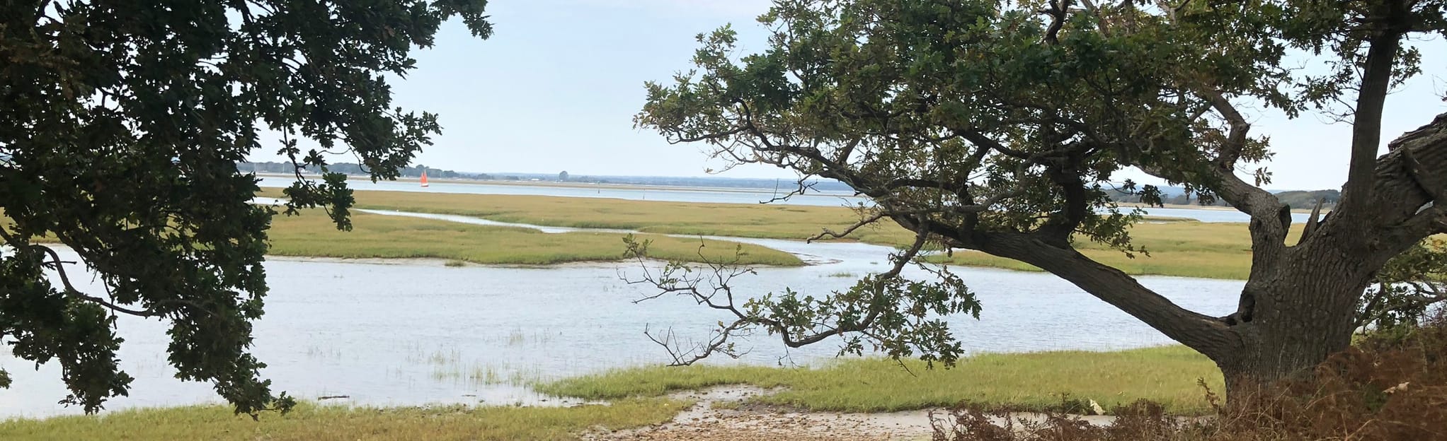 West Wittering and West Itchenor Circular | Mappa, Guida - West Sussex ...