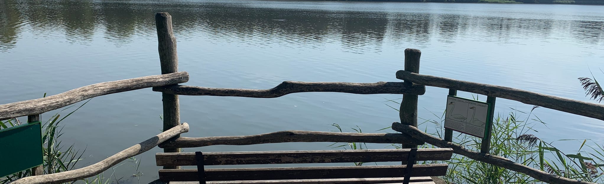 Wartha Teichrunde: 16 Reviews, Map - Saxony, Germany | AllTrails