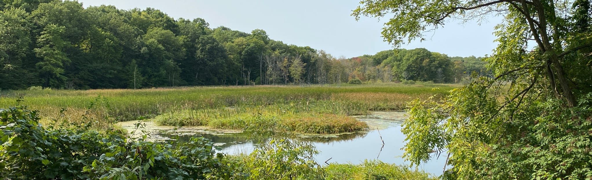 Atwater Millpond Loop: 178 Reviews, Map - Michigan | AllTrails