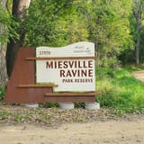 Miesville Trail, Minnesota - 138 Reviews, Map | AllTrails