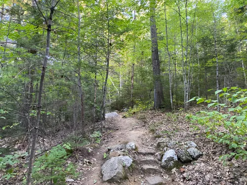 Best Hikes and Trails in Androscoggin Riverlands State Park | AllTrails