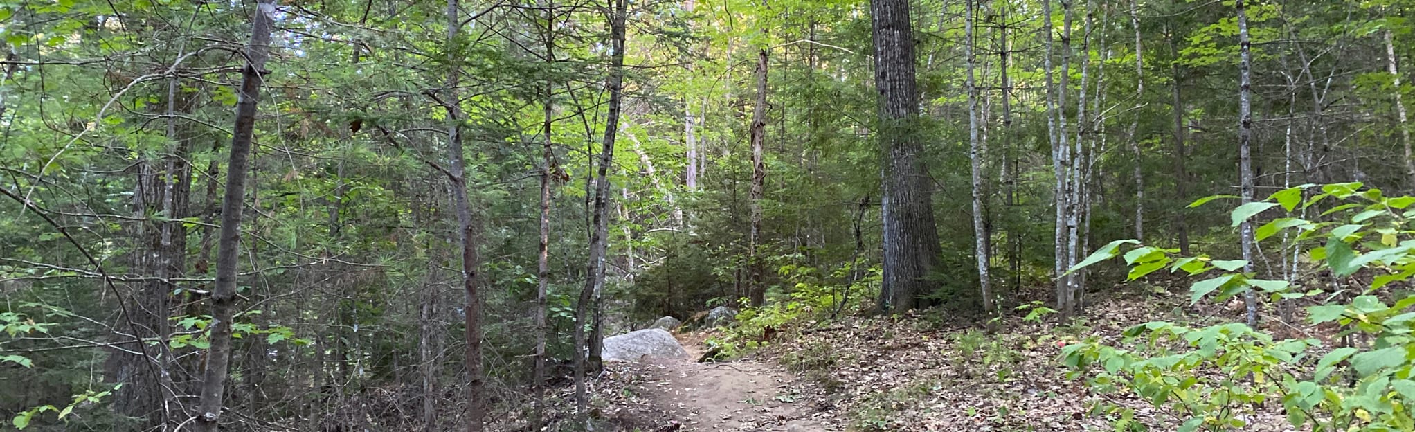 Old River Road, Porcupine, and Homestead Trail Loop | Map, Guide ...