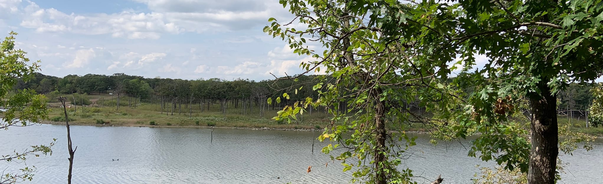 Chautauqua Hills Trails Loop, Kansas - 37 Reviews, Map | AllTrails