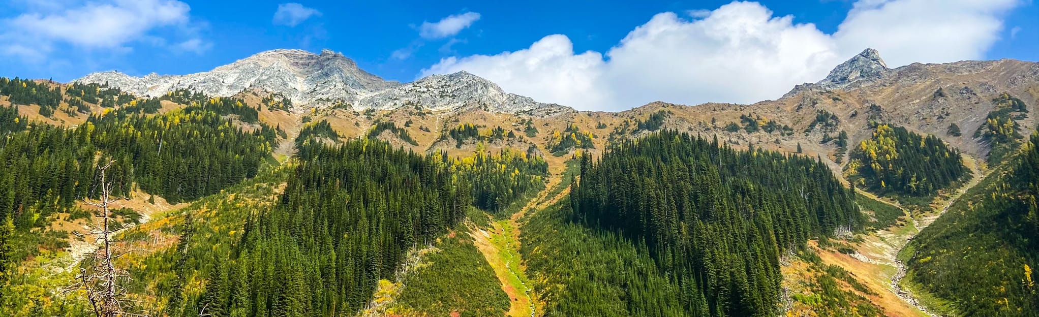 The Judge Route from Diana Lake Trail: 102 Fotos - British Columbia ...