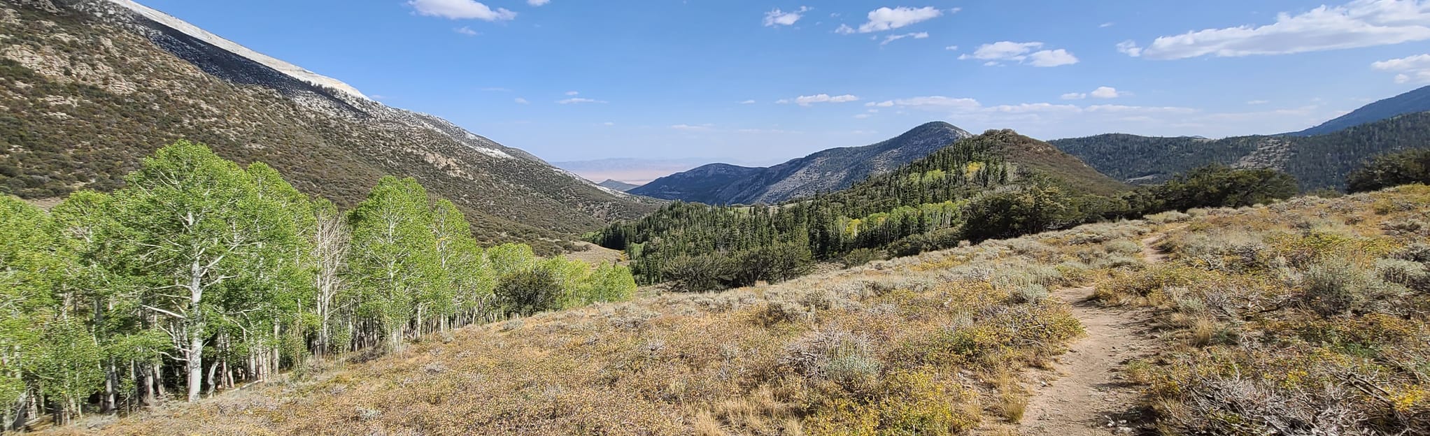 Serviceberry Loop, Nevada - 72 Reviews, Map | AllTrails