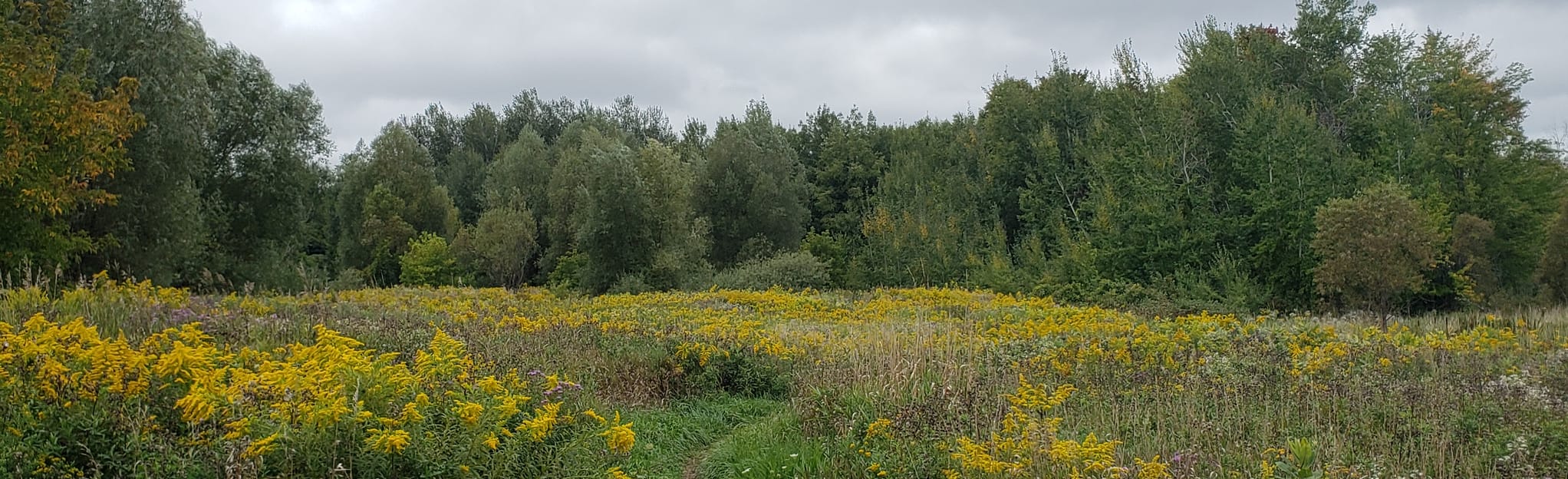 Macleod's Landing Loop: 23 Reviews, Map - Ontario, Canada | AllTrails