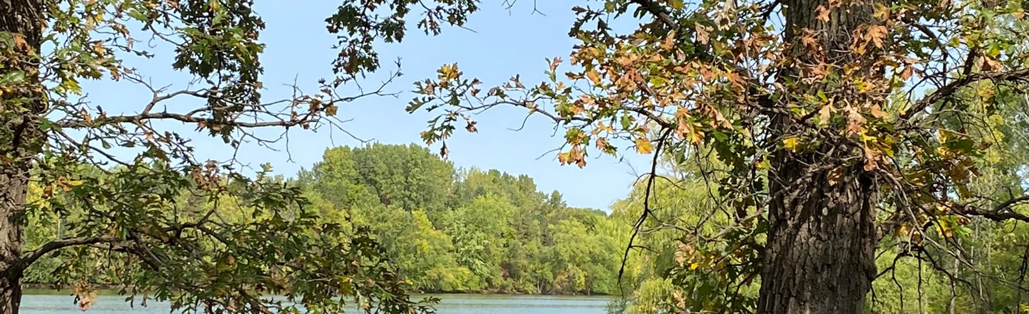 Edgewater Trail : 176 Reviews, Map - Minnesota | AllTrails