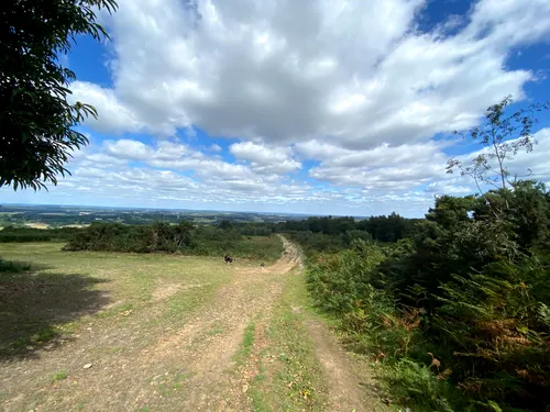 10 Best Easy Trails in High Weald National Landscape (AONB) | AllTrails