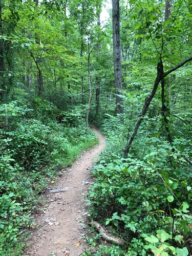 Best Hikes and Trails in Cabin John Regional Park | AllTrails