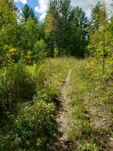 Best Views Trails in Simcoe County Forests | AllTrails