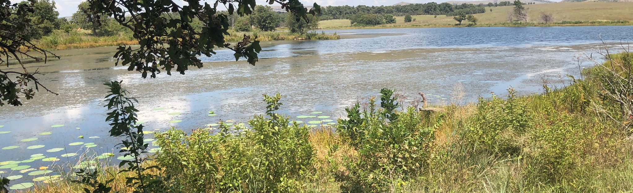 Kite Trail to Bison Trail Loop: 437 Reviews, Map - Oklahoma | AllTrails Kite Trail to Bison Trail Loop: 437 Reviews, Map - Oklahoma | AllTrails