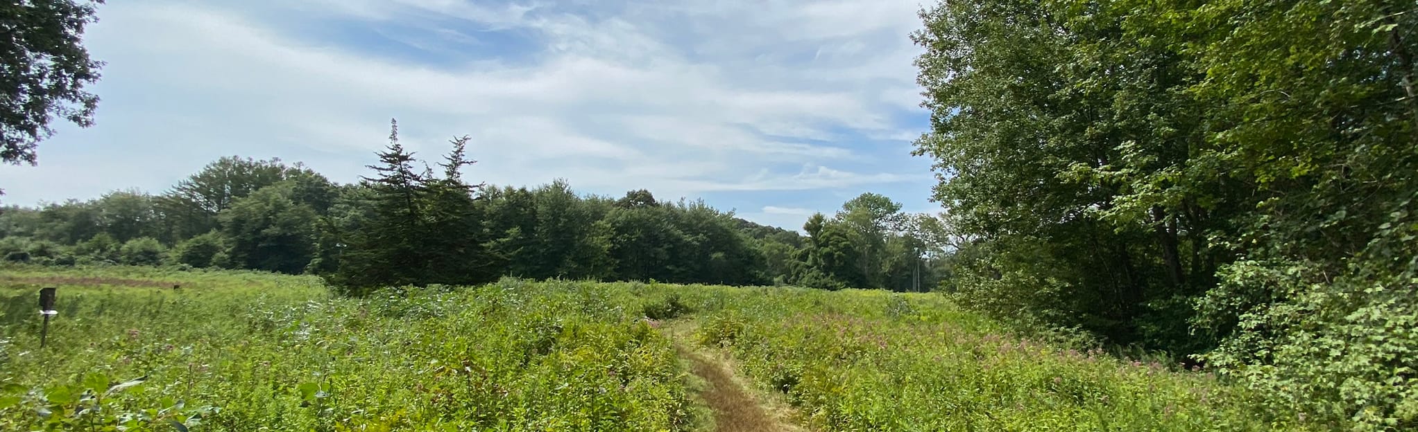 Meadow Loop, Forest Loop, Ledge Trail, and Avalonia Trail, Connecticut ...