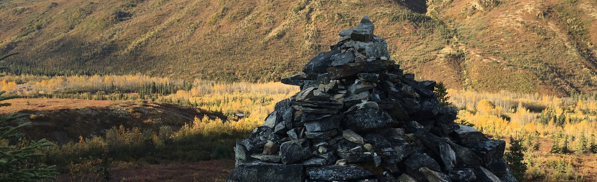 Wickersham Dome Loop [CLOSED], Alaska - 19 Reviews, Map | AllTrails