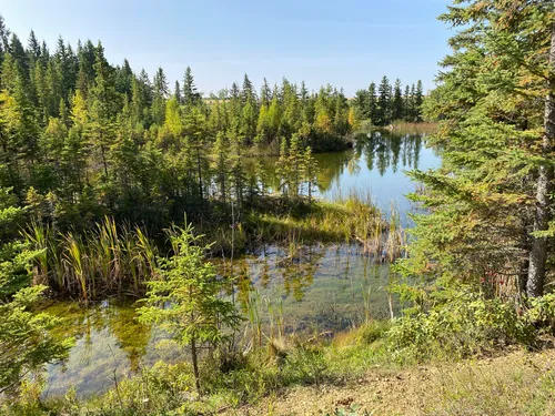 Best Hikes and Trails in Bittern Lake | AllTrails