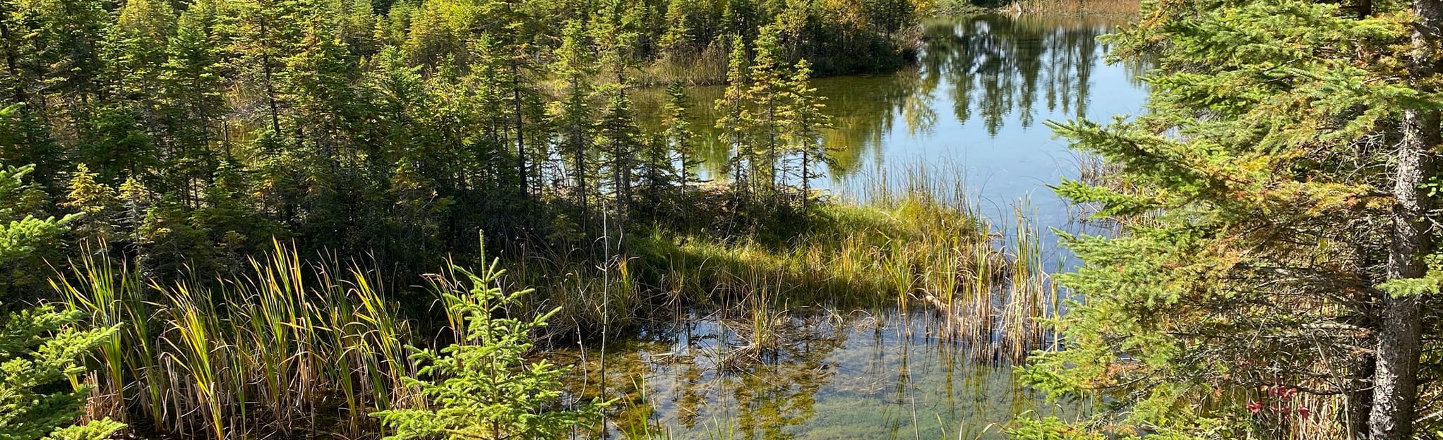Waskahegan Trail from Ross’ Flats, Alberta, Canada - 2 Reviews, Map ...