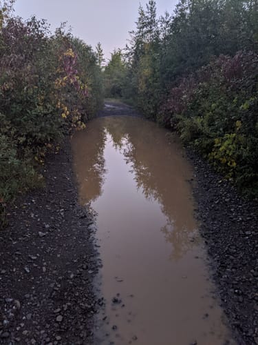 Best Hikes and Trails in Marlborough Forest | AllTrails