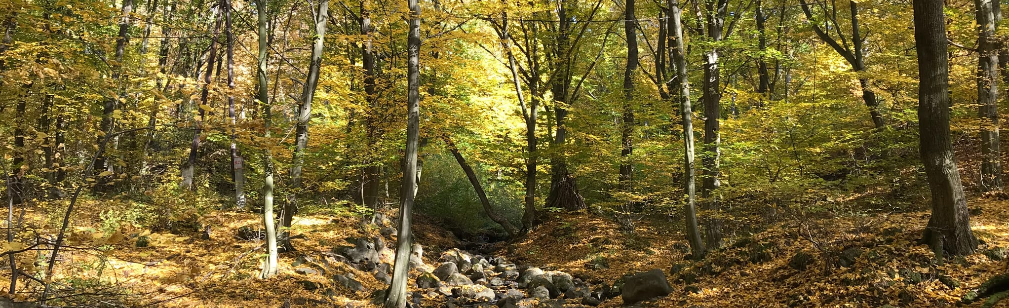 Mátrafüred – Kékestető – Hidas-bérc, Heves, Hungary - 8 Reviews, Map ...