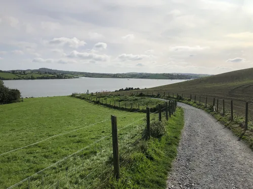 10 Best Forest Trails in Strangford and Lecale National Landscape (AONB ...