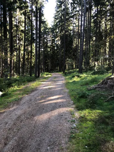 2023 Best Waterfall Trails in Chráněná krajinná oblast (CHKO) Jizerské ...