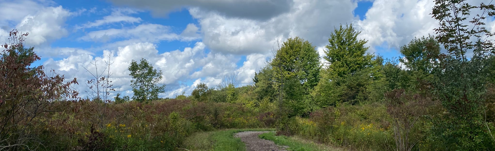 Hatches Corner Metropark Trail, Ohio - 32 Reviews, Map | AllTrails