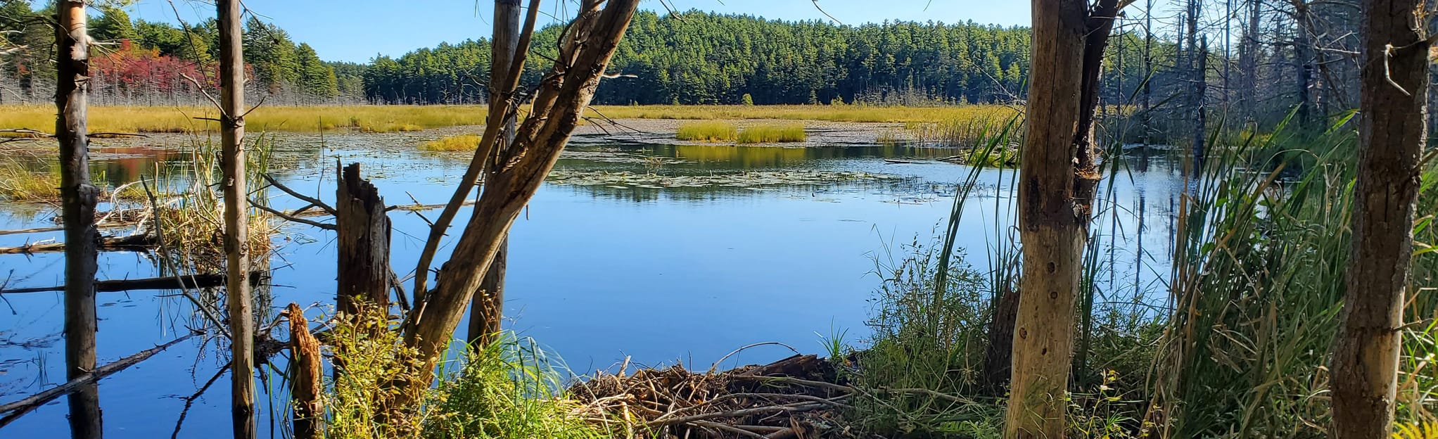 Achray Campground to Johnston Lake: 17 Reviews, Map - Ontario, Canada ...