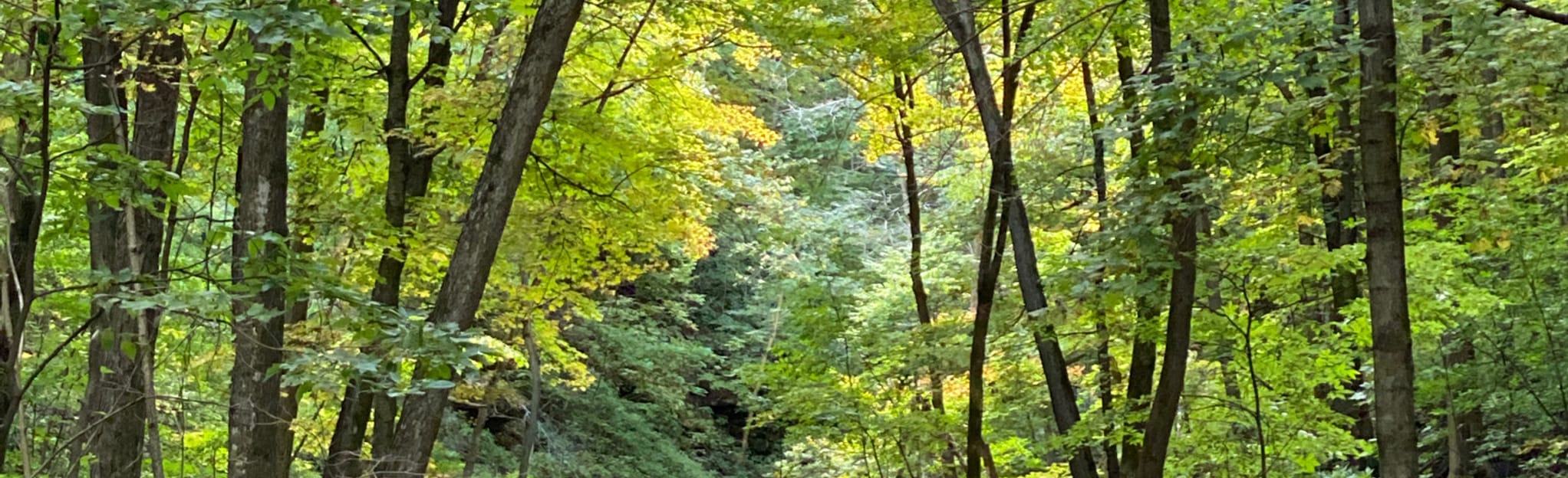 Big Springs Nature Trail, Iowa - 28 Reviews, Map | AllTrails