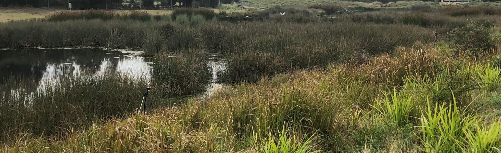 Ropes Crossing Loop: 18 Reviews, Map - New South Wales, Australia ...