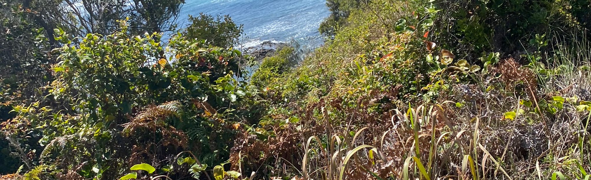 Minnie Water Coastal Clifftop Trail, New South Wales, Australia - 18 ...
