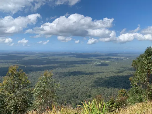 Best Hikes and Trails in Awaba State Forest | AllTrails