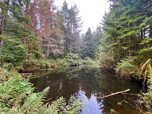 2023 Best 10 Trails and Hikes in Maple Ridge | AllTrails