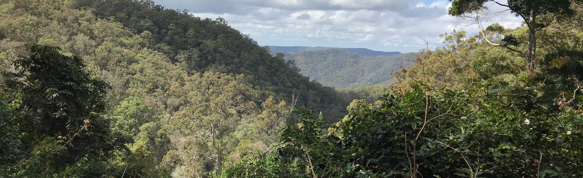 Creek Road - Cabbage Tree Range Road | Map, Guide - Queensland ...