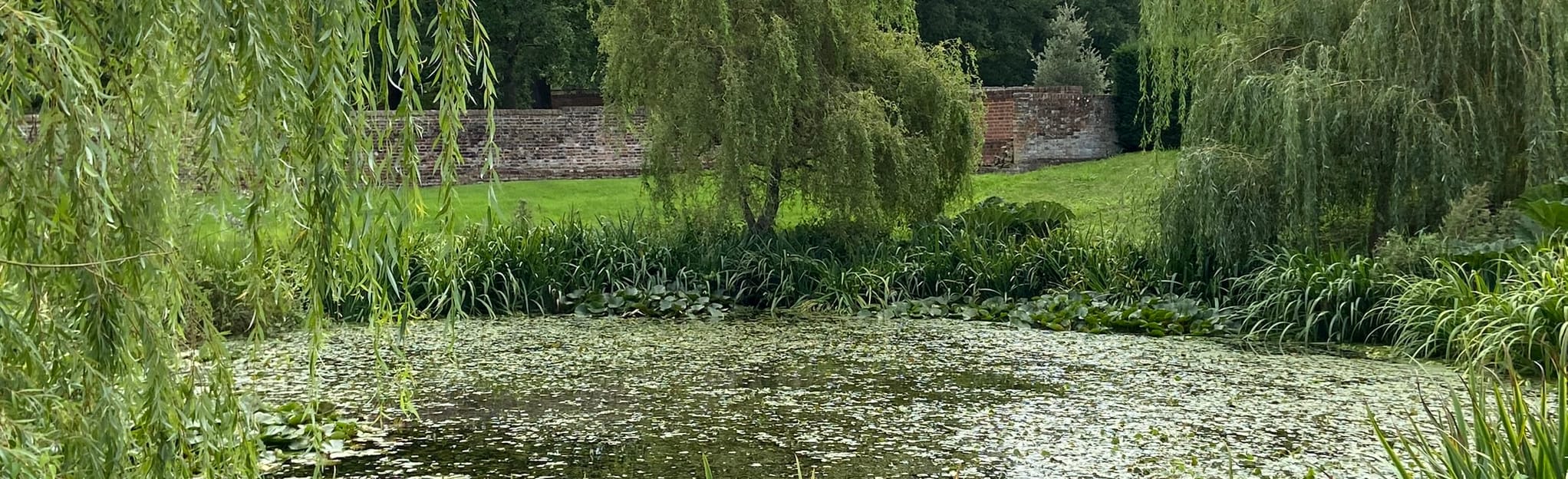 Thatcham, Bucklebury, Yattendon and Chapel Row Circular: 76 foto's ...