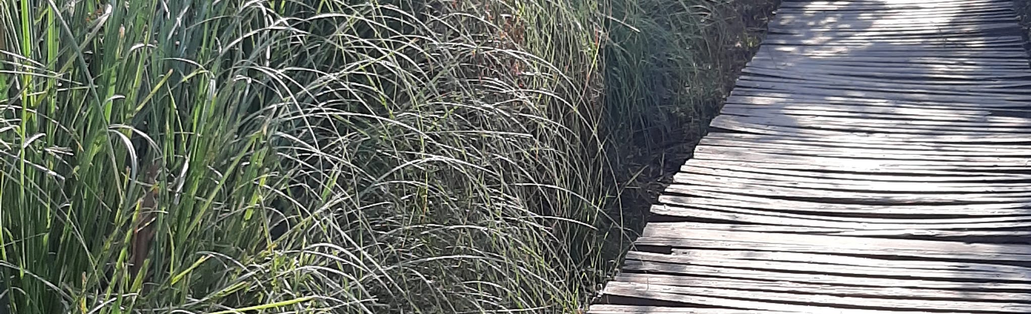PwC Bike Park, Gauteng, South Africa - 29 Reviews, Map | AllTrails