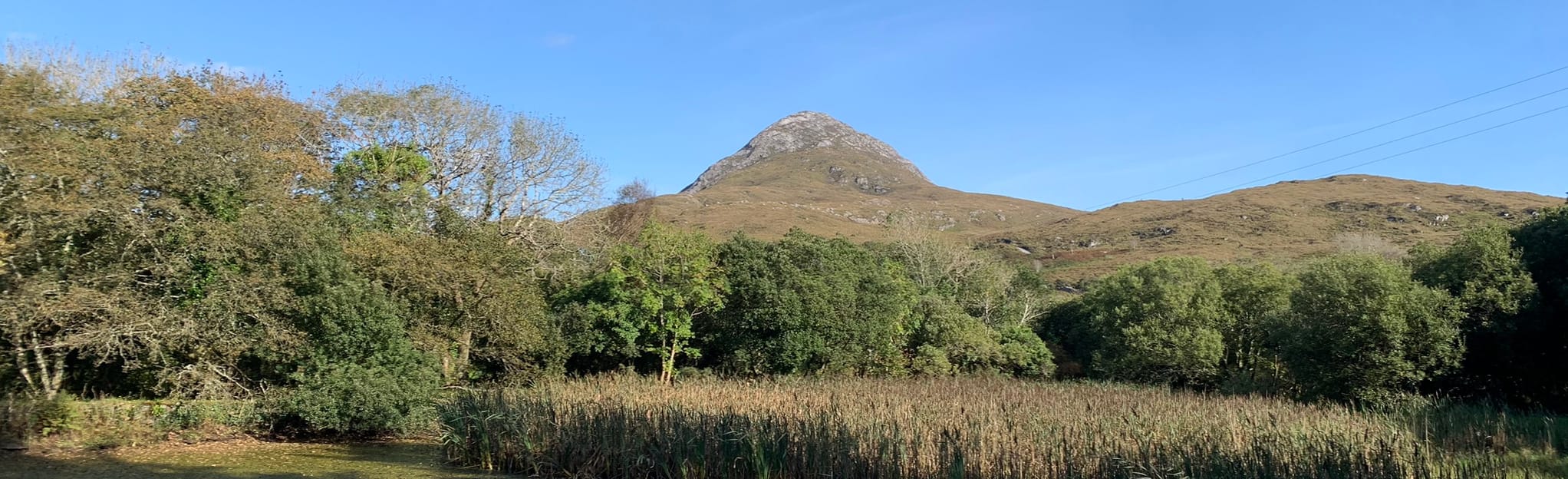 Ellis Wood Nature Trail (Green Route): 9 Reviews, Map - County Galway ...