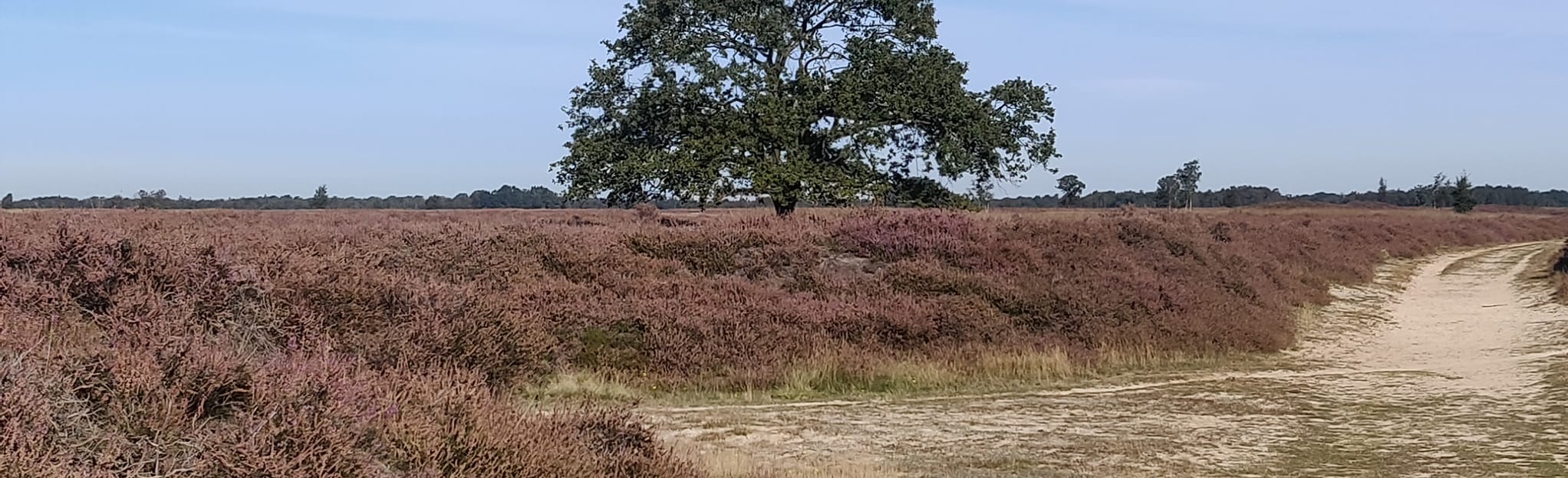 Drentsche Aa Mountainbikeroute, Drenthe, Netherlands - 4 Reviews, Map ...