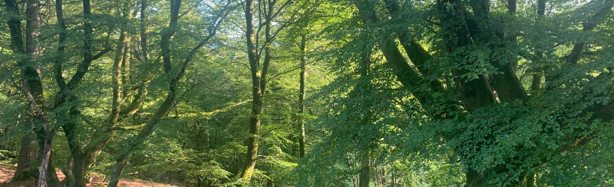 Callander Circular, Stirling, Scotland - 52 Reviews, Map | AllTrails