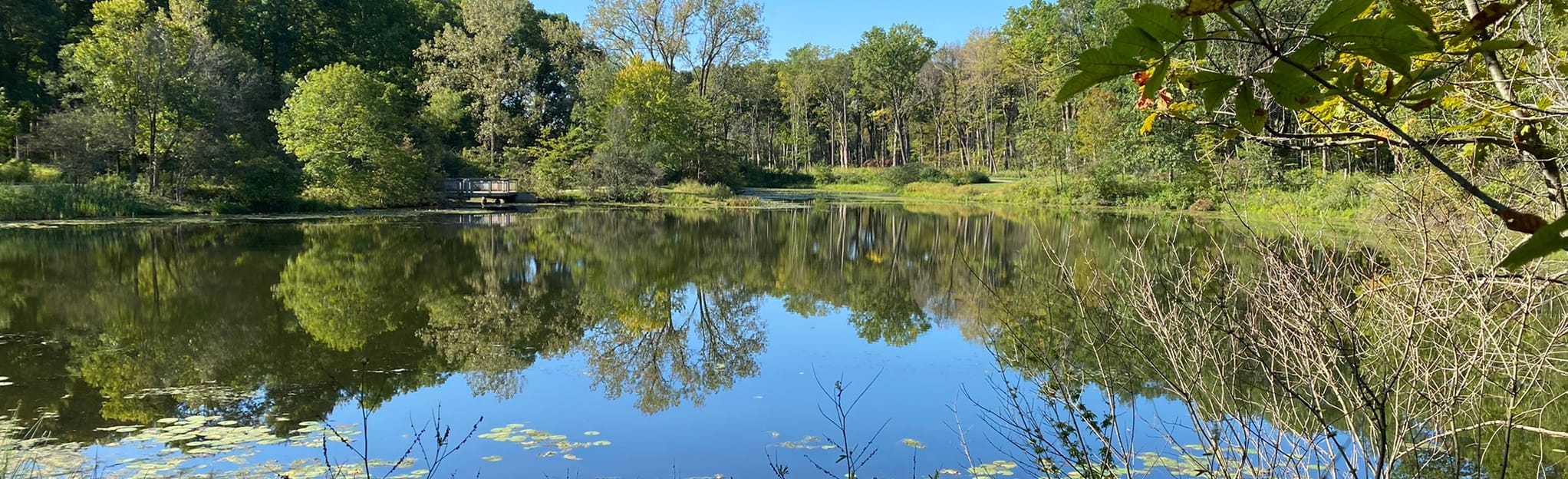Captain Daniel Wright Woods & Half Day Forest Preserve Loop, Illinois ...