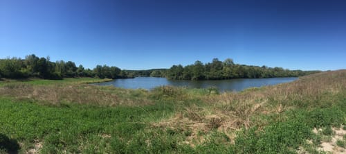 2023 Best Mountain Biking Trails in Kickapoo State Park | AllTrails