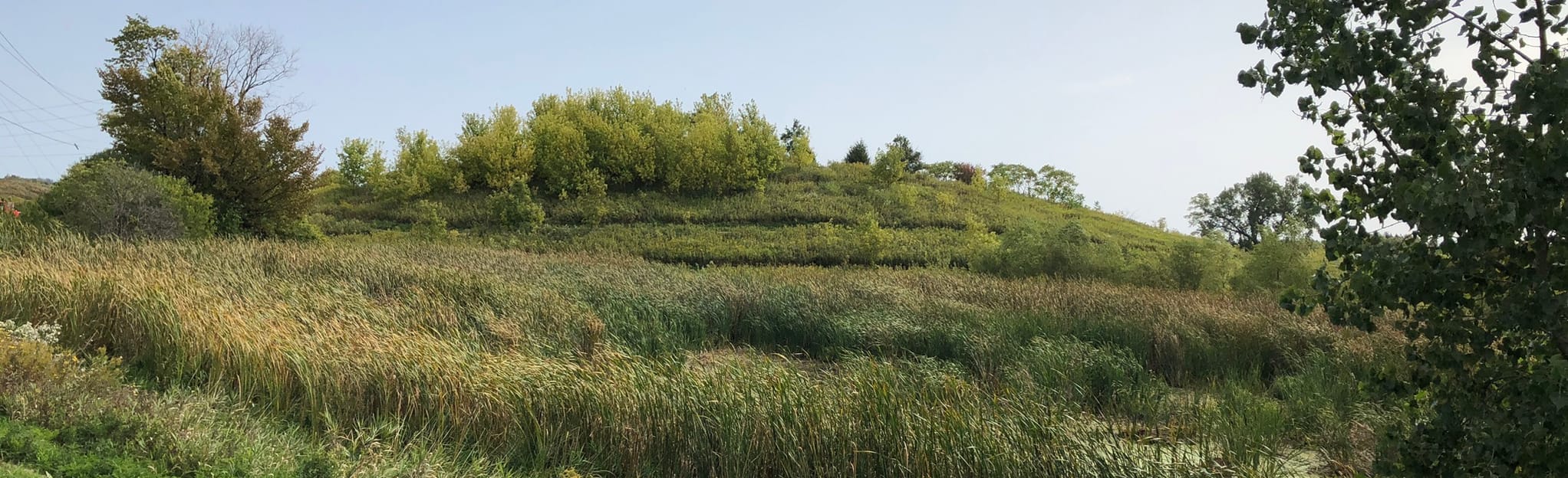 Hawks Ridge Trail Green Loop, Minnesota - 43 Reviews, Map | AllTrails